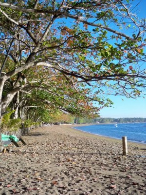 Mikes’s Dauin Beach Family Resort | Philippines