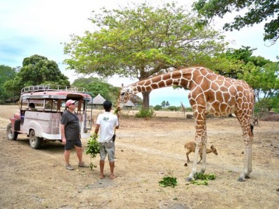 Safari Park Calauit Island Zebras and Giraffes | Philippines